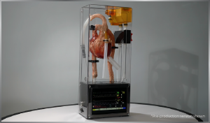 Simulator | CCS