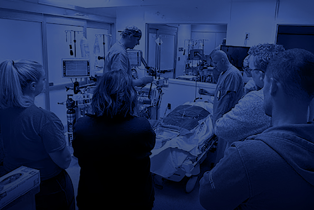 Leading from the Background: The ECLS Coordinator Role, Redefined ...